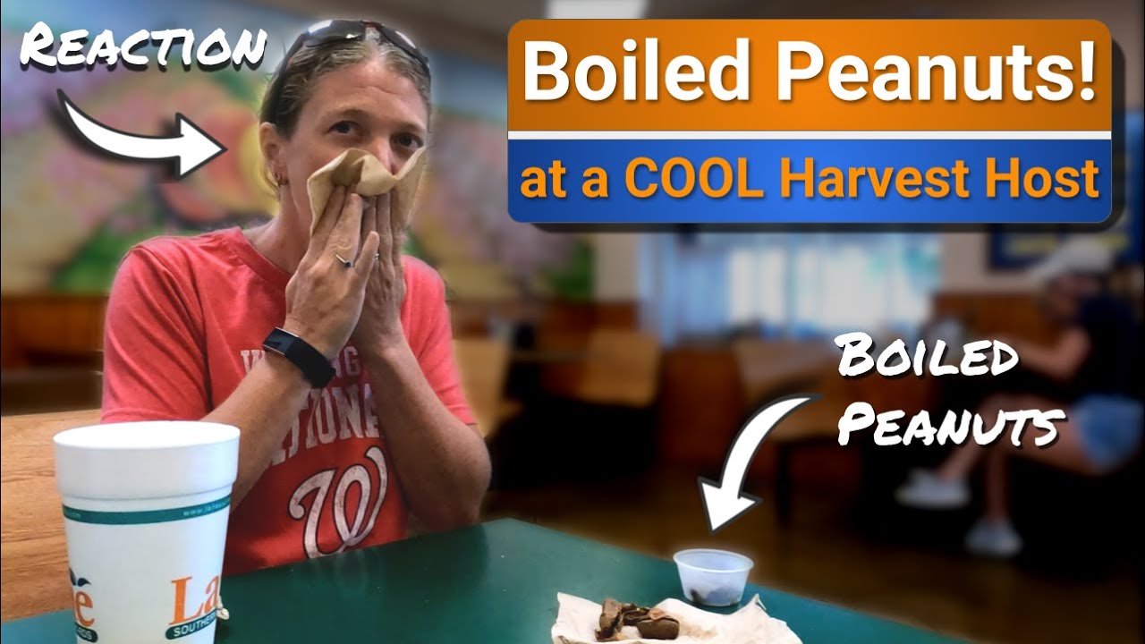 We missed out on a great Harvest Host | Lane Southern Orchards - YouTube