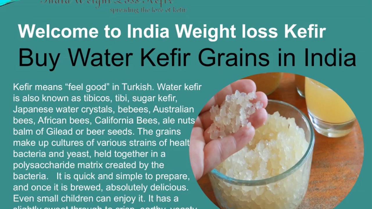 How to Make Water Kefir Grains in India - YouTube