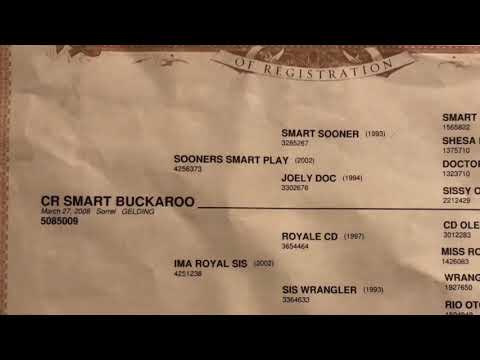 September 17, 2020 - YouTube