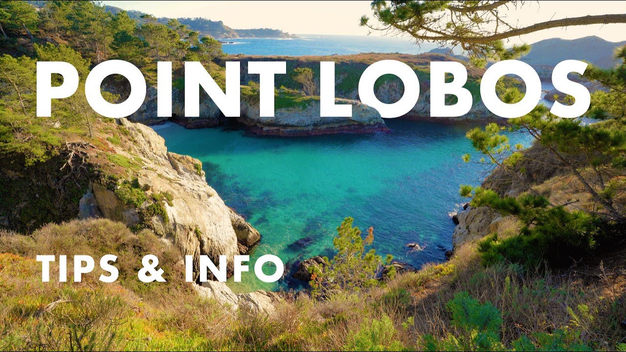Hiking Entire Point Lobos Trail Loop near Monterey, California - YouTube