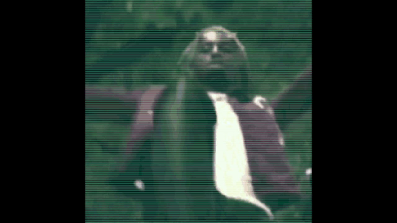 [FREE] Playboi Carti Type Beat "mollyworld" | (Prod. Dolb + 100PRCNT ...