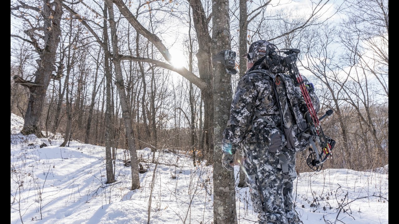 Low Impact Trail Cam Strategies - YouTube