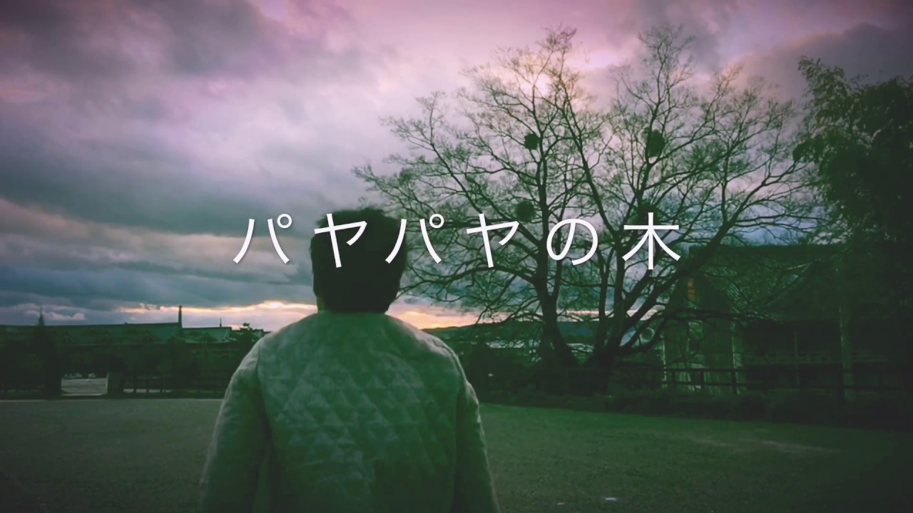 パヤパヤの木／ノビロンソング Paya paya tree - YouTube