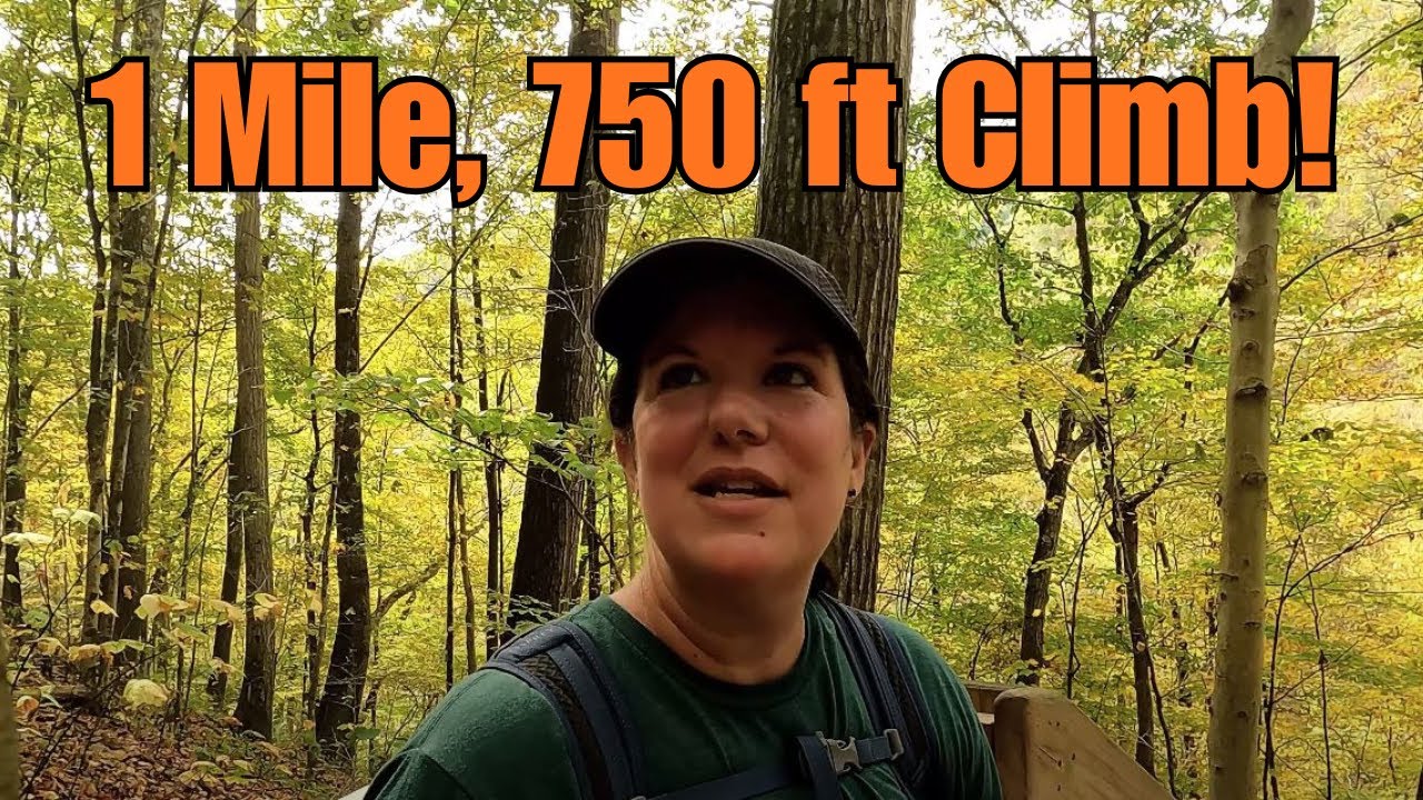 Leonard Harrison State Park: Why Turkey Path Trail is a Must-Hike - YouTube
