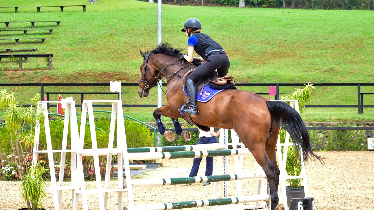 26/10/2024 - DTC - Treino Organizado - Gordon C & Letícia Machado - 1 ...