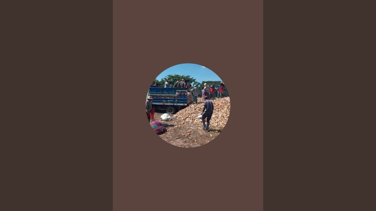 servellon W está en vivo estamos bien afligidos y no vemos por dónde ...