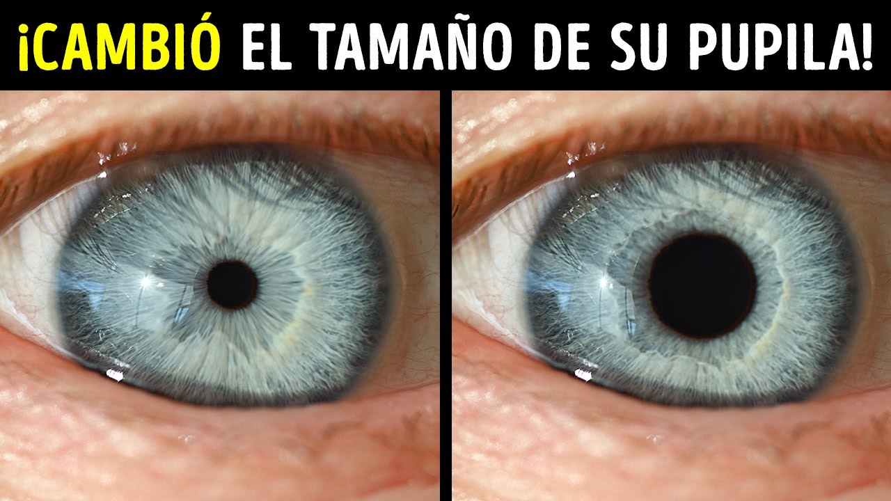 Un hombre que puede controlar el tamaño de su pupila + 10 personas con ...
