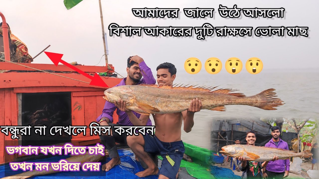 we are cutcing to biggest bhola fish in muri Ganga River 😲😲😲#fishing # ...