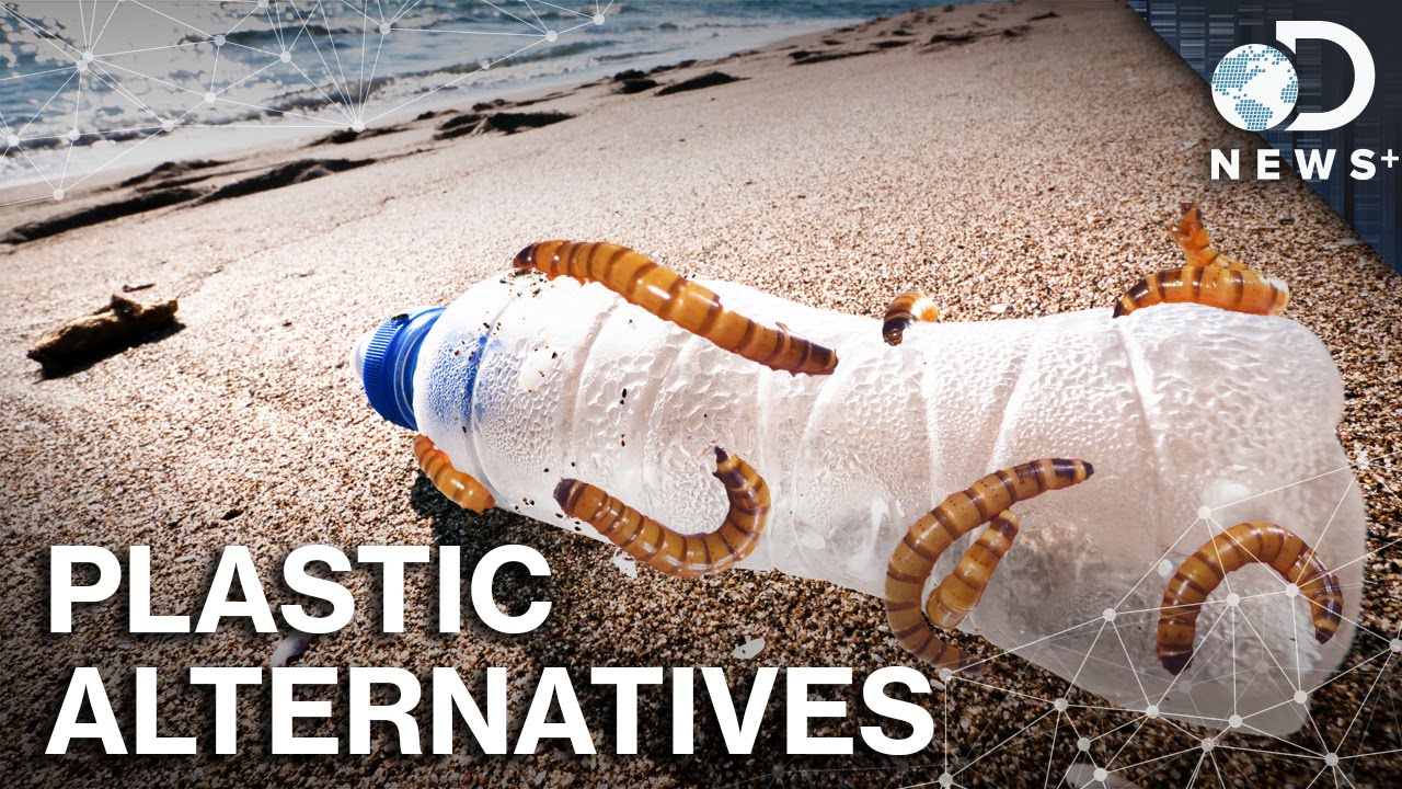 What Would A World Without Plastic Look Like? - YouTube