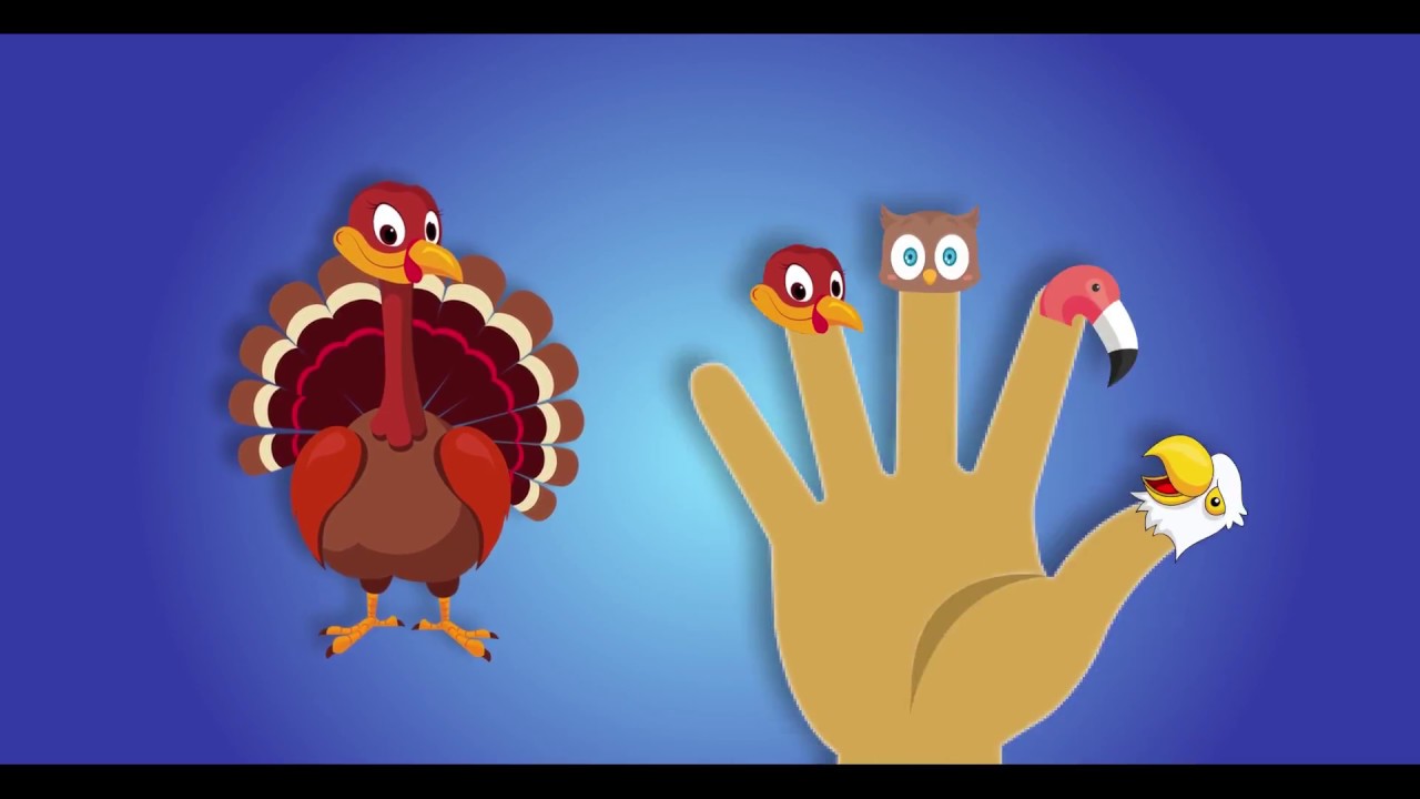 Birds Owl Daddy Finger Song (finger family) & songs collection - Songs ...