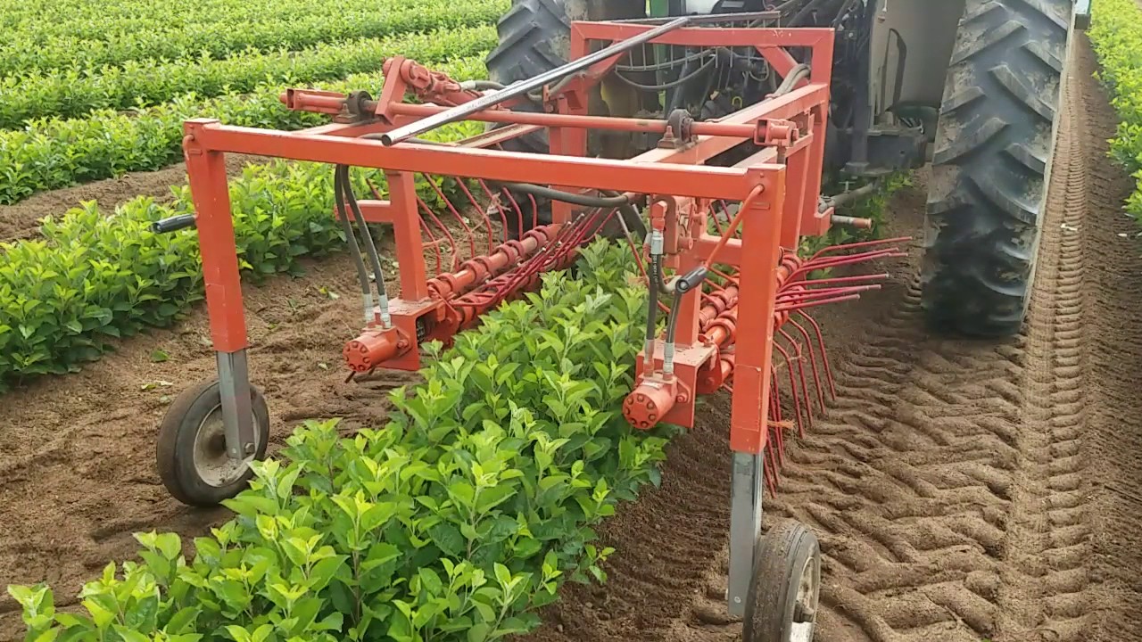 Fabrication Solutions rootstock sawdust hilling implement #2 - YouTube