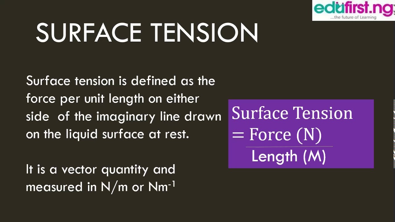 Fluid at rest | Physics | SS1 | 3rd Term - YouTube
