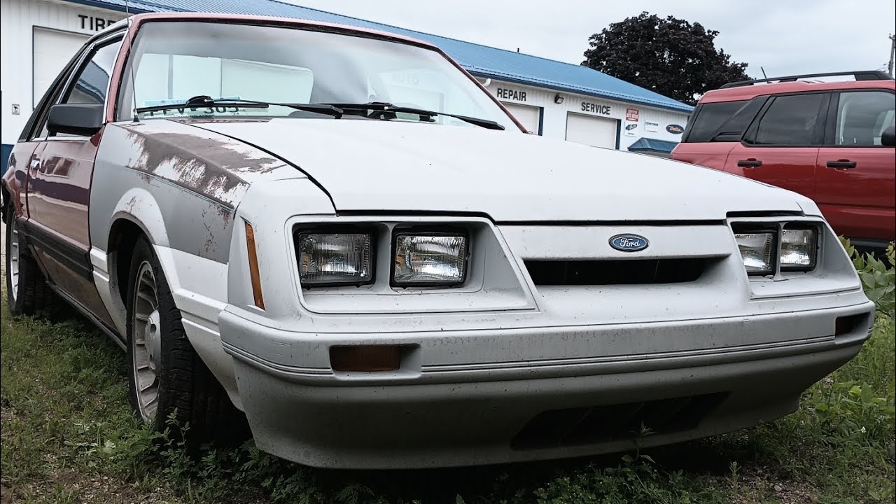 part 1 on the journey of the 1980 Ford mouse House Stang - YouTube