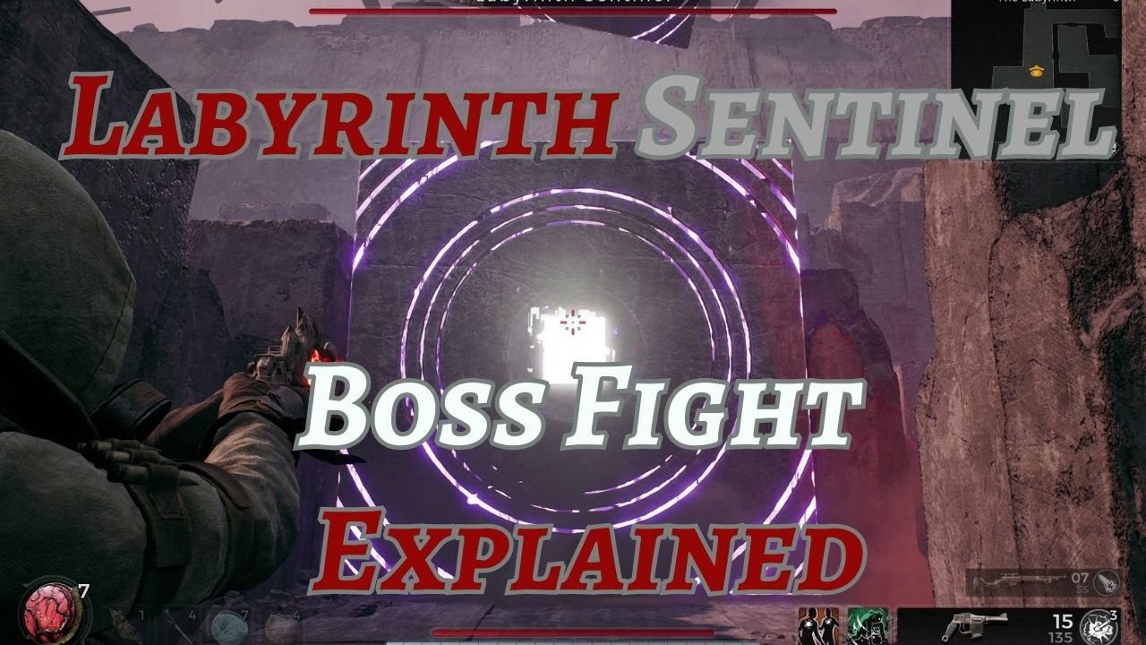 Remnant 2 | Labyrinth Sentinel Boss Explained | Cube Boss | - YouTube