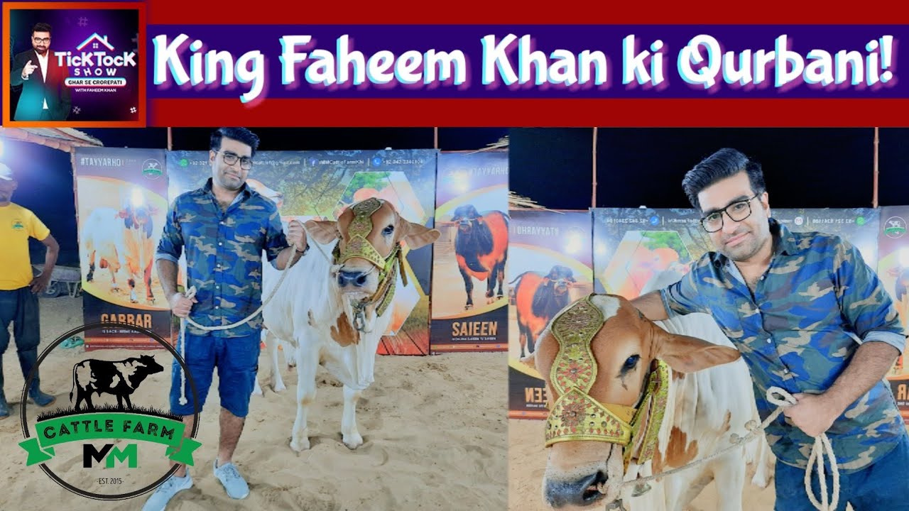TickTock Show King Faheem Khan at MM Cattle Farm | with Dulha | Qurbani ...