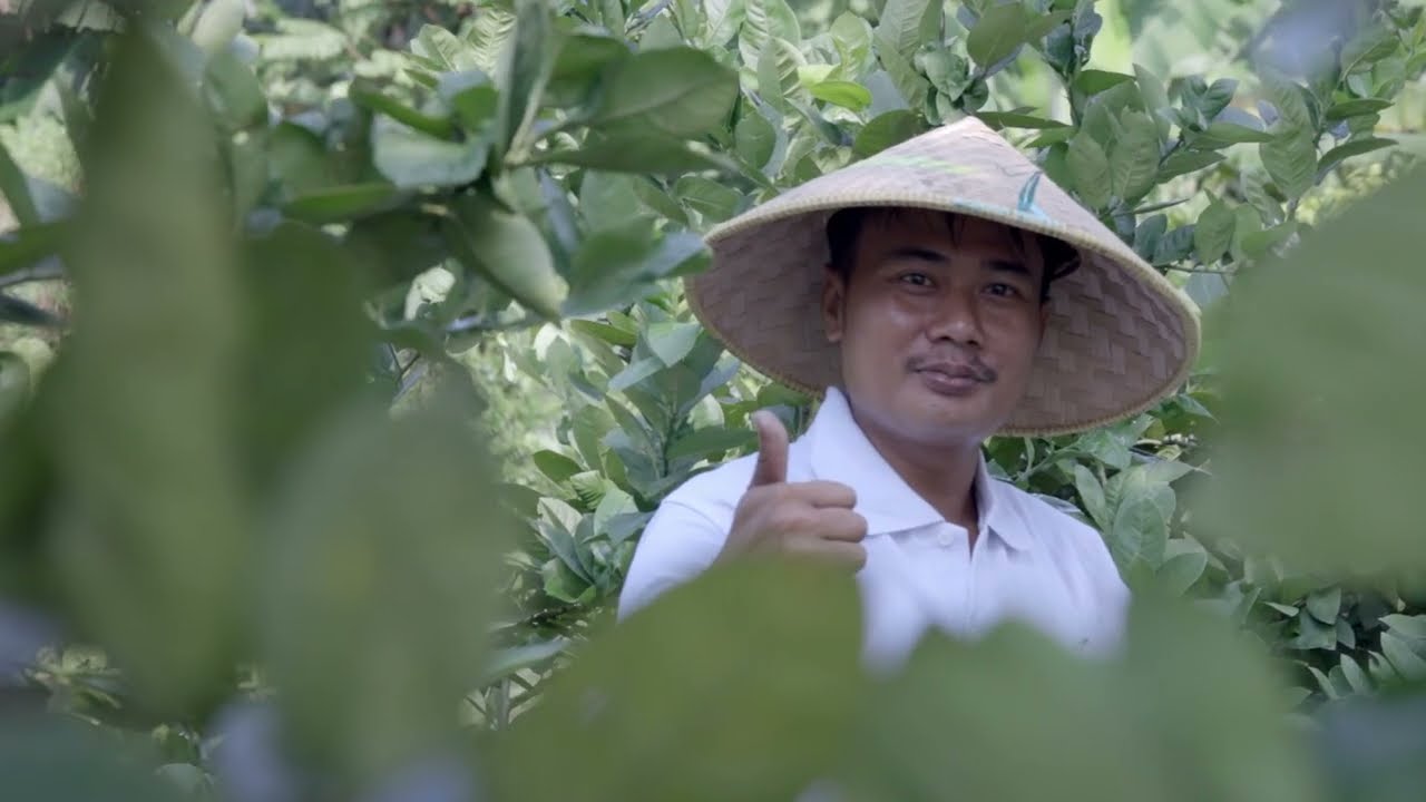 PT Merpati Mahardika Company Profile - YouTube