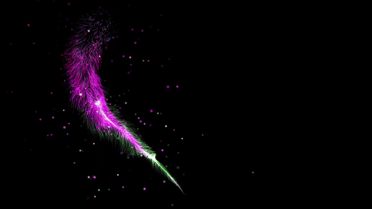 Heart Overlay | No Copyright - YouTube