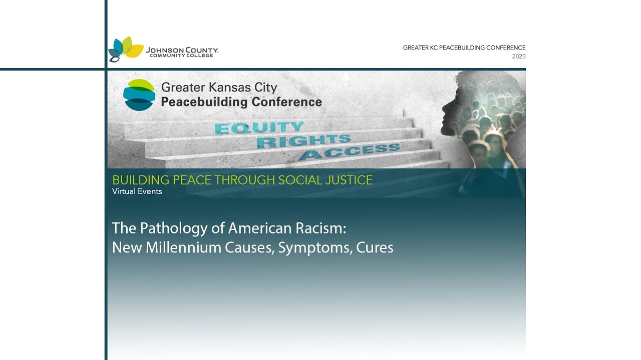 The Pathology of American Racism: New Millennium Causes, Symptoms ...