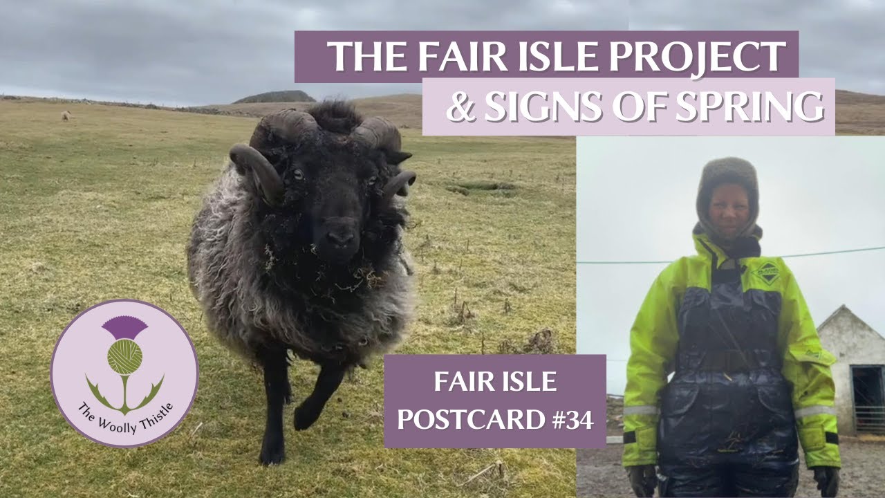 Fair Isle Postcard #34 The Fair Isle Project and Signs of Spring on the ...