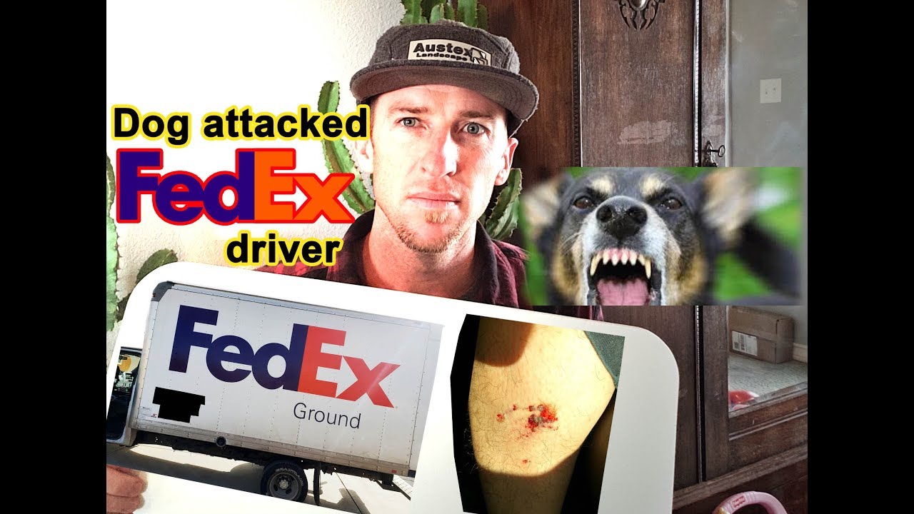 FedEx dog attack - YouTube