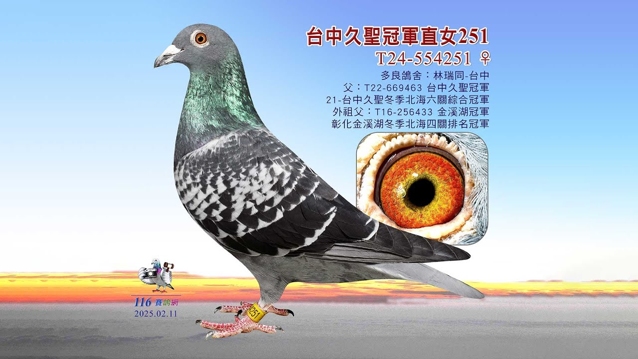 【林瑞同】T24-554251 台中久聖綜合冠軍直女 - YouTube