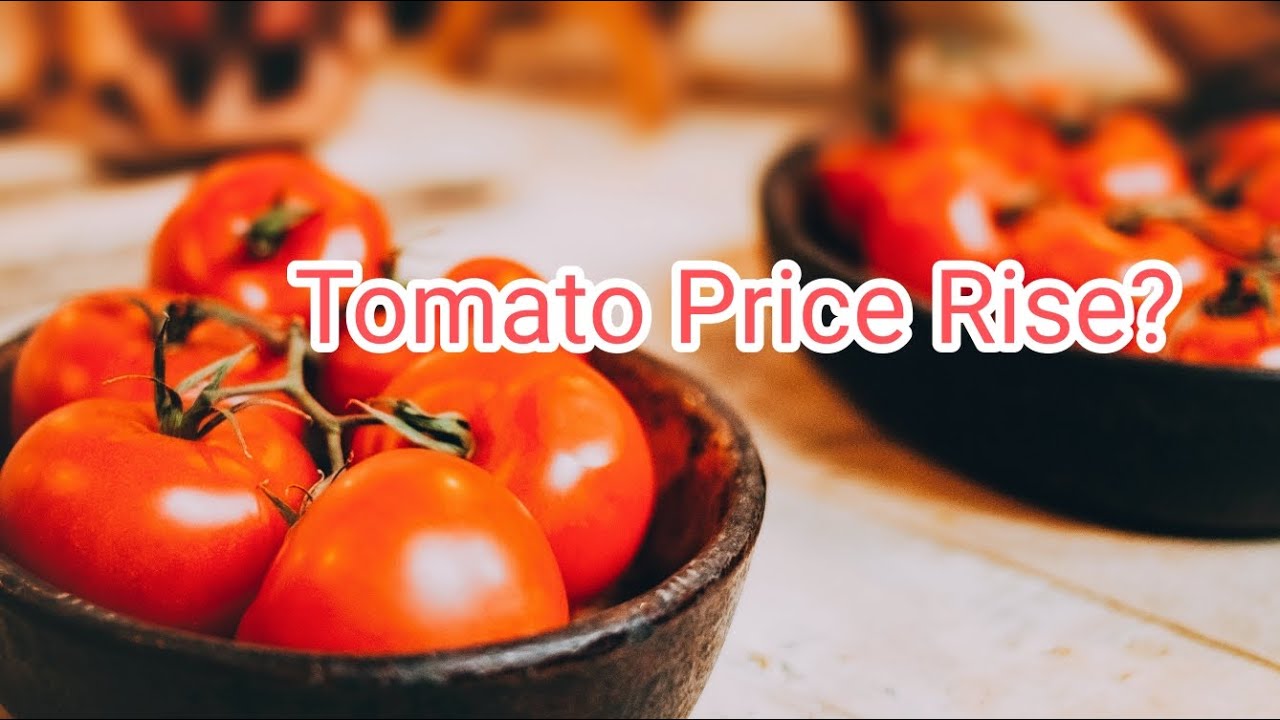Why price of tomato has risen? | The banyan tree 0505 - YouTube