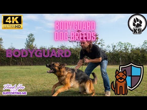 Bodyguard Dog Breeds That Will Risk Their Lives Without a Second ...