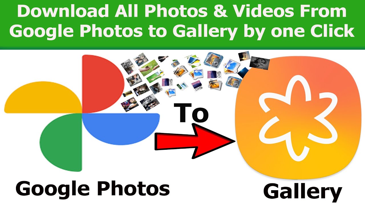 How to save Google photos to Gallery | download all photos from google ...