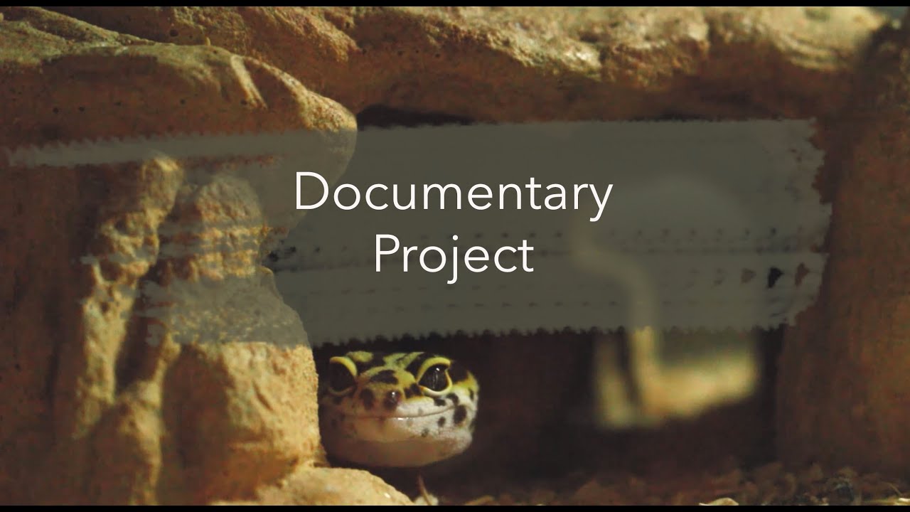 Documentary Project - YouTube