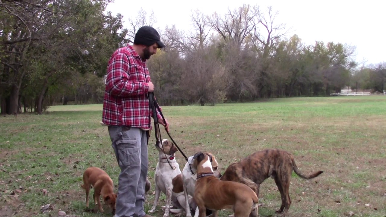 Winston & Lucas - YouTube