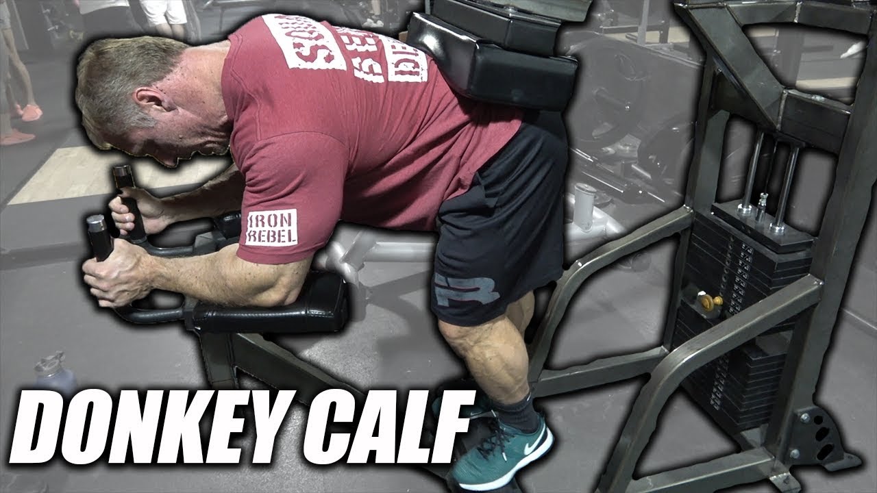 Exercise Index - Donkey Calf Raises - YouTube