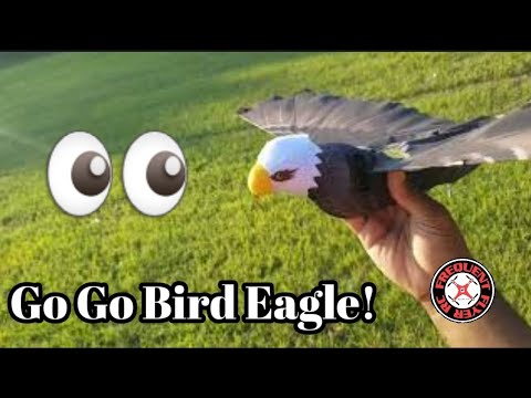 Go Go Bird Eagle - Will It Fly? - YouTube