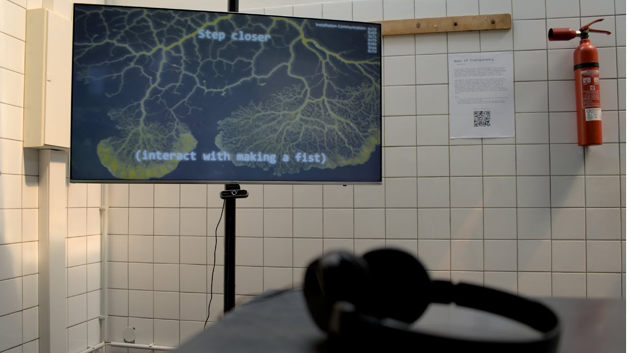 Ways of Transparency | Installation - YouTube