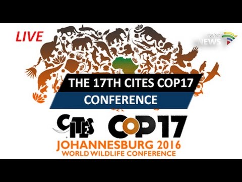 The17th CITES COP17 Conference: 24 September 2016 - YouTube