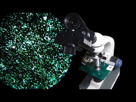 Magnet Paper Under Microscope (Magnetic Viewing Film) - YouTube