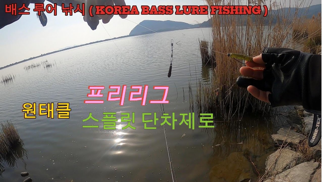 원태클 프리리그 스플릿 단차 제로 배스 루어 낚시 KOREA BASS LURE FISHING - YouTube