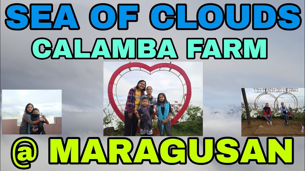 Sea of Clouds calamba farm - YouTube