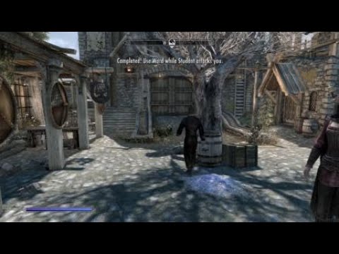 Skyrim random encounter with College of Winterhold dropout - YouTube