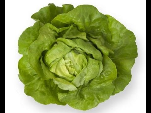 Zelena salata Recept - YouTube