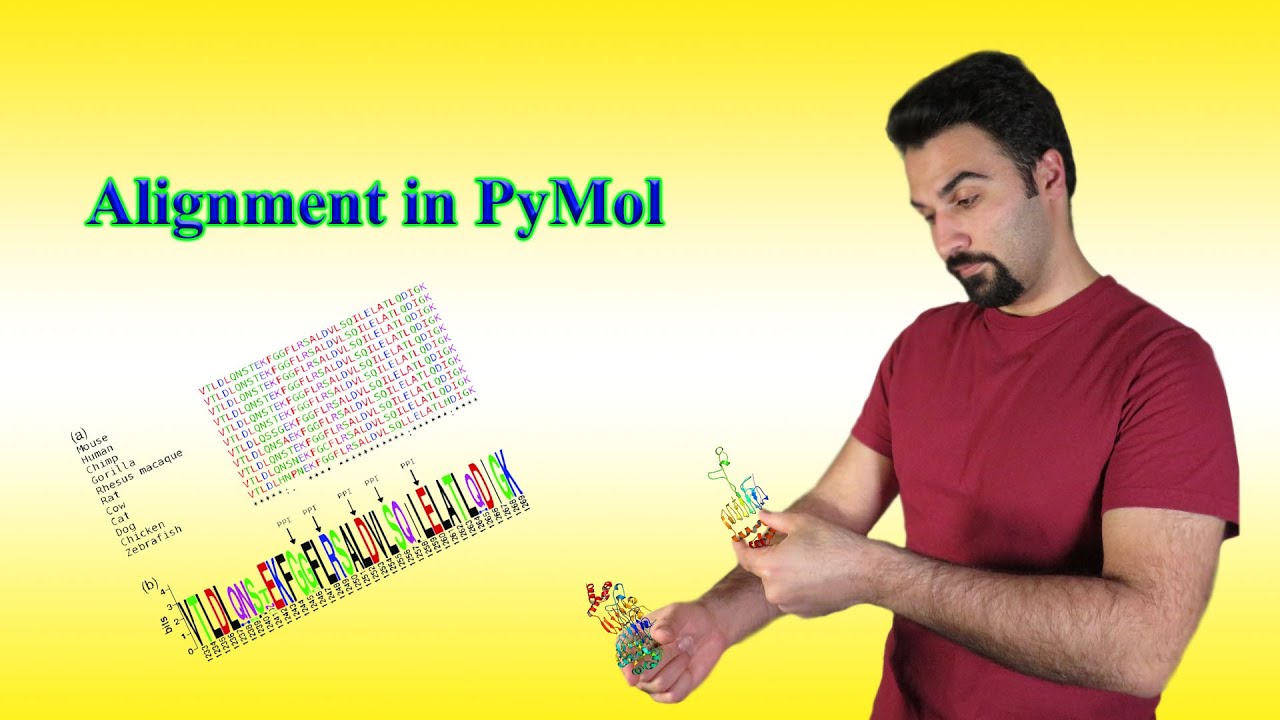 آموزش Alignment در نرم افزار PyMol - YouTube