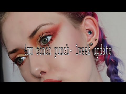 4mm conch punch 1week update & my experience - YouTube