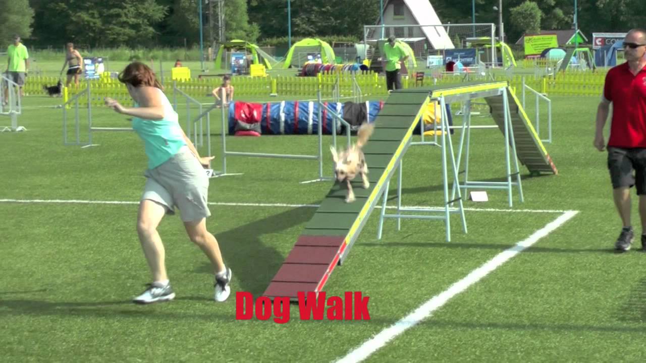 Agility obstacles - YouTube