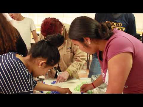 Entrevista a la artista visual feminista y promotora Sonia Felix Cherit de Zacatecas