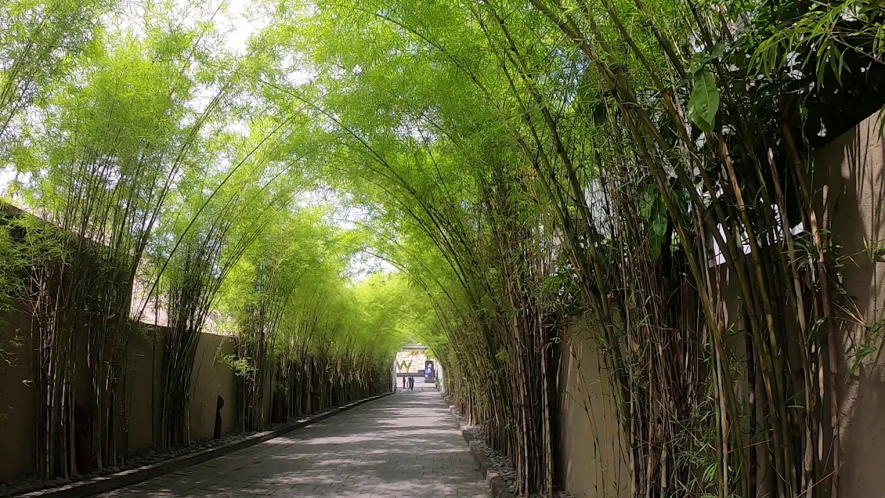 W Bali - Seminyak : Entrance Bamboo arch - YouTube