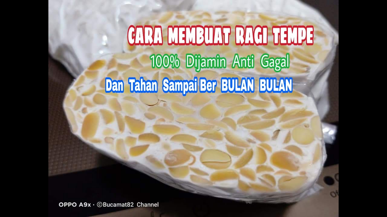 CARA MEMBUAT RAGI TEMPE 100 % ANTI GAGAL DAN TAHAN BERBULAN BULAN - YouTube