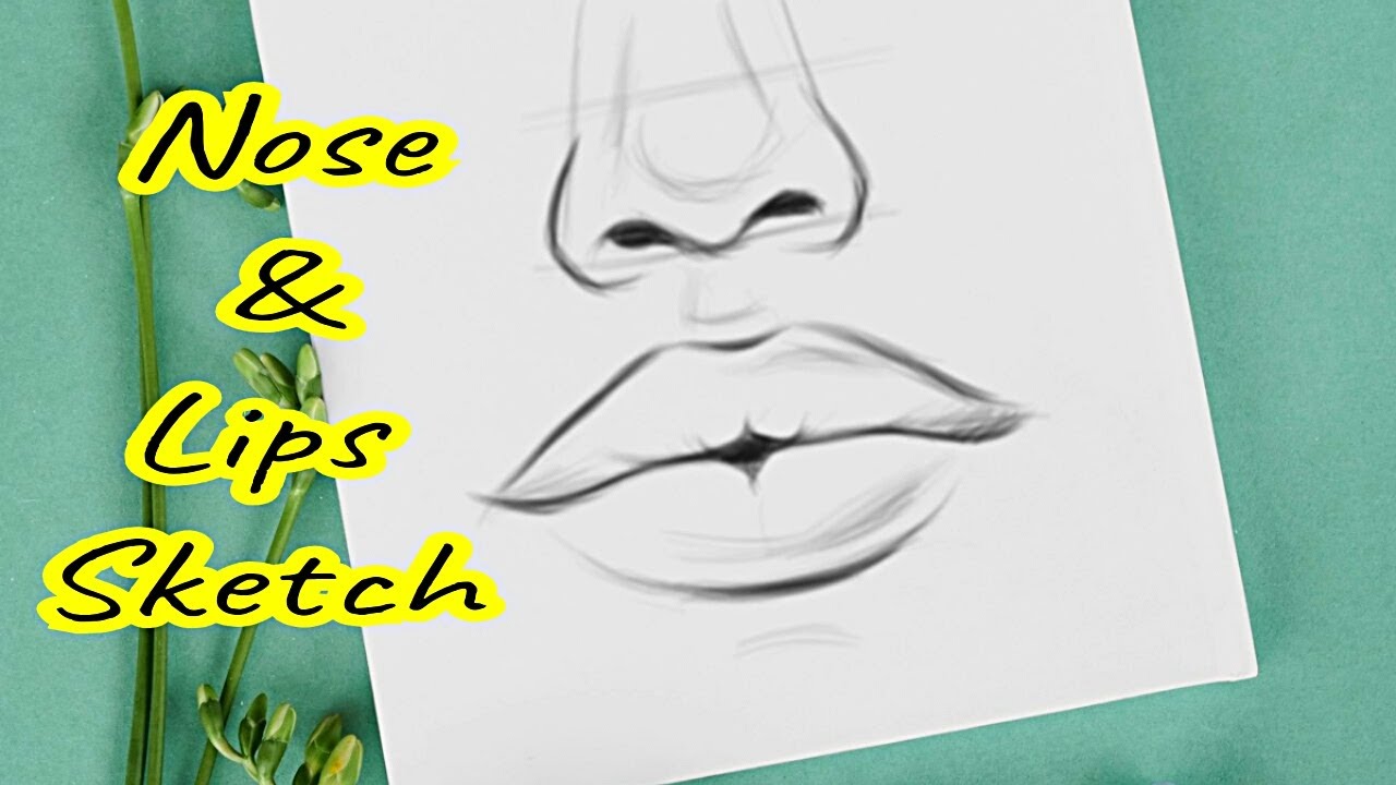 How to draw Nose & Lips EASY BASICS step by step | Nose & Lips drawing ...