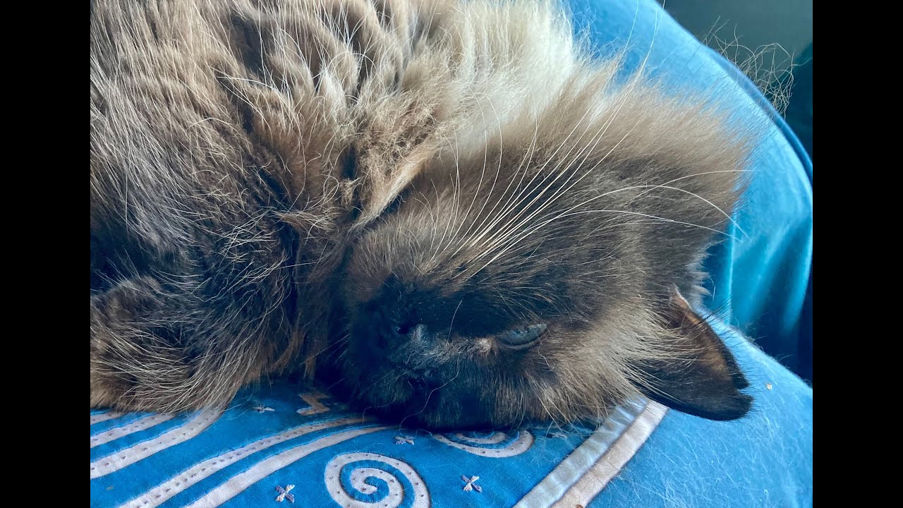 Suede one wall line dance - YouTube