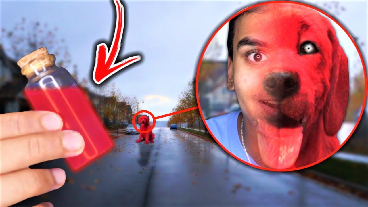 Do Not Order The CLIFFORD THE BIG RED DOG POTION At 3AM! *CURSED ...