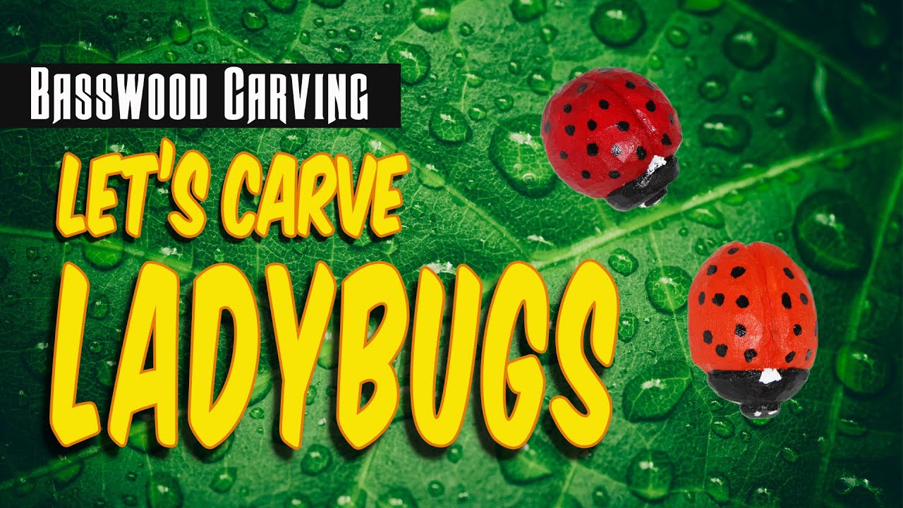 Let's Carve Ladybugs - Wood Carving Projects for Beginners - Wood Carve ...