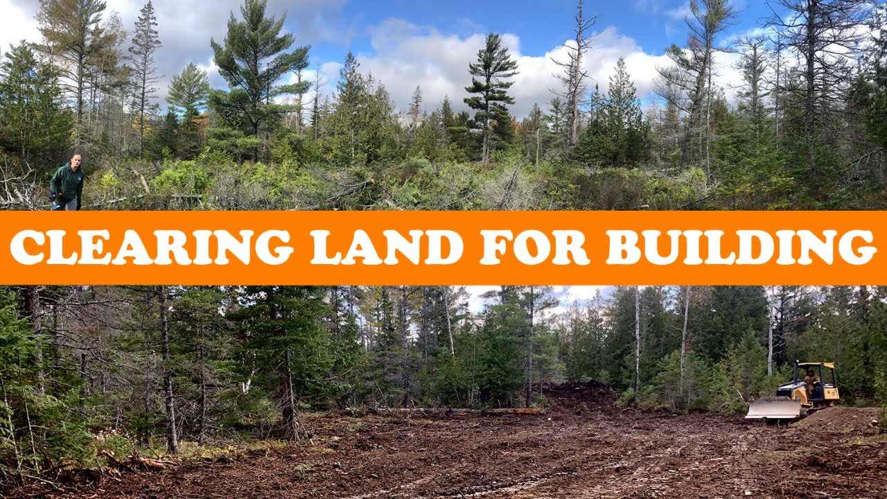 CLEARING LAND FOR BUILDING (with machinery): OFF GRID CABIN BUILD ...